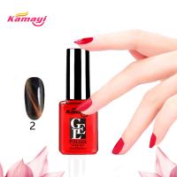 China OEM / ODM 3D Diamond 12ml Cat Eye Gel Polish for sale
