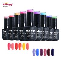 China Kamayi Beautiful Girl Professional Salon Nail Product Gel Nail Polish Set Uv Gel Gel Nail Polish for sale