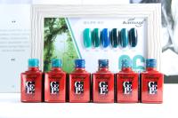 China Hot Selling Nail Gel Set For Nail Arts Pen Fashion Colors Korea Gel Press On Nails for sale