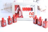 China Factory Direct Supply Nail Polish Gel Red Color Uv/Led Gel Nail Kit Set for sale
