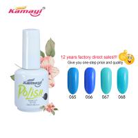 China 380 Colors Nature Resin 15ml Summer Nail Gel Polish for sale