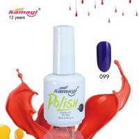 China 380 Colors Nature Resin 15ml Summer Nail Gel Polish for sale
