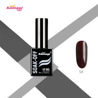 China Resin 72 Colors Private Logo 12ml Gel Enamel Nail Polish for sale