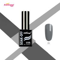 China 12ml OEM Nature Resin UV Light Color Gel Polish for sale