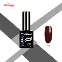 China 12ml OEM Nature Resin UV Light Color Gel Polish for sale