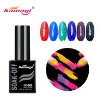 China Fashion 24 Colors Neon Gel Nail Polish for sale