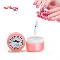 China 5kg / 10kg / 20kg Personal Care 12pcs Nail Gel Paints for sale
