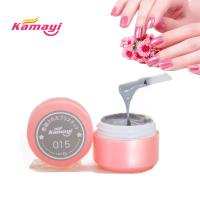 China 5kg / 10kg / 20kg Personal Care 12pcs Nail Gel Paints for sale