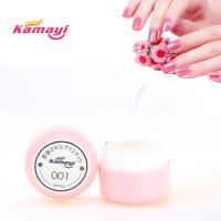 China 5kg / 10kg / 20kg Personal Care 12pcs Nail Gel Paints for sale