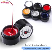 China 5ml 6Color Private Label Paint Led Art Color Spider Nail Gel for sale