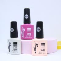China Resin Color Gel Polish Nature Pigment Soak Off Gel Nail Polish Kit for sale