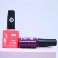 China Resin Color Gel Polish Nature Pigment Soak Off Gel Nail Polish Kit for sale