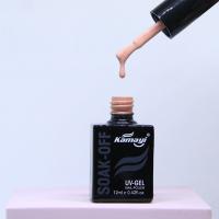 China Super Bright 72 Colors 12ml Nail Gel Polish For Art Beauty for sale