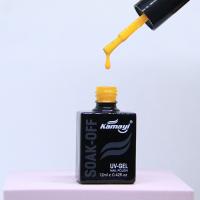 China 12ml Color Uv Gel Nail Polish Long Lasting Over 30 Days for sale