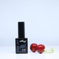 China Bio No Nicks No Chips UV LED Soak Off Nail Gel Polish for sale