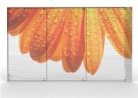 China High Transparency Glass LED Display Screen 80% 4200nits for Shopping Mall Glass Wall for sale