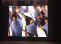 China P1.25 Indoor LED Video Wall 140° Viewing Angle 640000 Pixels per sqm for Events for sale