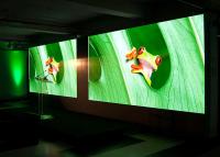 China P1.56 Indoor LED Video Display 600x1012mm 600nits for Shopping Malls and Shows for sale