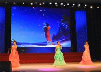 China P3.91 Stage Rental Led Display Led video Panel with 50x100cm Panel for sale