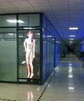 China Lightweight P5 HD Transparent LED Screen 5500nits 13kg per sqm for Indoor Display for sale