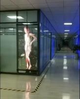 China Lightweight P5 HD Transparent LED Screen 5500nits 13kg per sqm for Indoor Display for sale