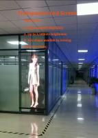 China Lightweight P5 HD Transparent LED Screen 5500nits 13kg per sqm for Indoor Display for sale