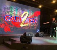 China Rental LED Display P3.91 500x1000mm Die-Cast Cabinet 7680Hz for Stage Concert for sale