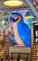 China P1.25 Indoor Fixed LED Display 7680Hz Front Access Fine Pixel Pitch 640x480mm LED Screen for sale