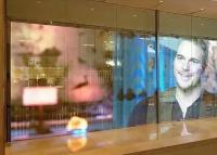 China P3.75-6.67mm Indoor Fixed Transparent LED Screens Full Color LED Display Screen for sale