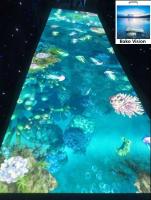 China P3.91 Outdoor Rental LED Display 65536 Dots per Sqm Stage Background Screen for sale
