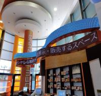 China Rubber Module Soft Led Curtain Display , Irregular Led Display For Any Shape / Size for sale