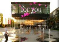 China 16 Bits Grey Scale Glass Advertising Led Display Screen High Transparency Rear Servicing for sale