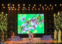 China 2880Hz Refresh Indoor Rental LED Display Panel Video Wall for Commercial Activity for sale
