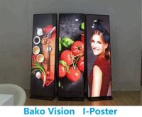 China Indoor Fixed LED Poster Display P2.5 P3 for Shop Mall Hotel Advertising 572x1920mm 28kg for sale