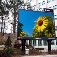 China High Brightness Outdoor LED Display 6500nits 1920Hz for Advertising Digital Billboard for sale