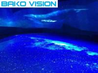 China P3.91 Indoor Rental Floor LED Display 500x500mm Dual Purpose for Wedding Night Club for sale