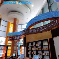 China P3 Flexible LED Display Soft Rubber Module Matrix 240x120mm 111111pixels/m2 for Church School KTV for sale