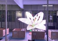 China See Through Transparent LED Screens , Indoor LED Display Screen Aluminum Panel for sale