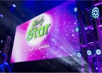 China Indoor Full Color LED Display Screen P2.6 P2.97 P3.91 P4.81 500x500mm 8kg for Rental Stage Show for sale