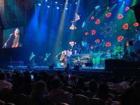 China Indoor P3.91 Stage Rental LED Display 500x500mm Nationstar SMD2121 1920Hz for sale