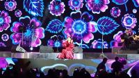 China P3.91 Indoor Rental LED Video Display Screen 65,536 Pixels per sqm for Stage Performance for sale