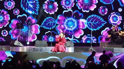 China P3.91 Indoor Rental LED Video Display Screen 65,536 Pixels per sqm for Stage Performance for sale