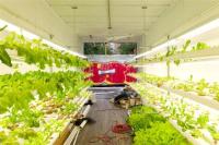 China Hydroponic Farming Prefab Container Homes Light Steel Frame Modular Home for sale