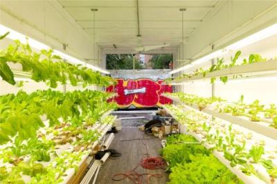 China Hydroponic Farming Prefab Container Homes Light Steel Frame Modular Home for sale