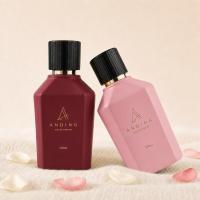 China Anding Wholesale Modern Luxury Elegant Low Moq Empty Glass 100ml Custom Perfume Bottle Botella De Perfume for sale
