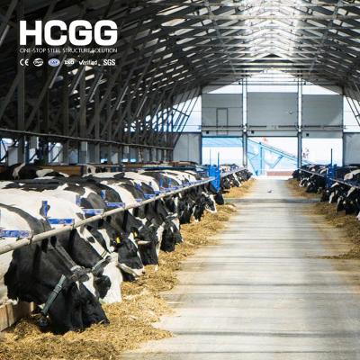 China Hot Dip Galvanized Steel Frame Chicken House Environment Friendly Column Free Design for sale