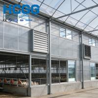 China Resisting　Wind Snow　Light Steel Structure Livestock  Prefabricated Farming Shed Warehouse Building for sale