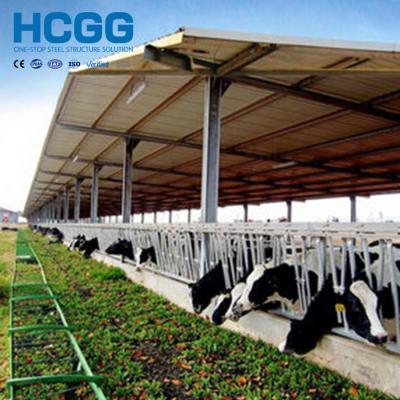 China Steel Structure Poultry House featuring steel frame design customizable length width and height with integrated farm access zones for sale