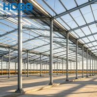 China Optimized Steel Structure Poultry House Designed for Easy Access and Workflow Improving Farm Management and Productivity for sale