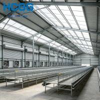 China Prefabricated Hot-Dip Galvanized Steel Structure Poultry House for sale